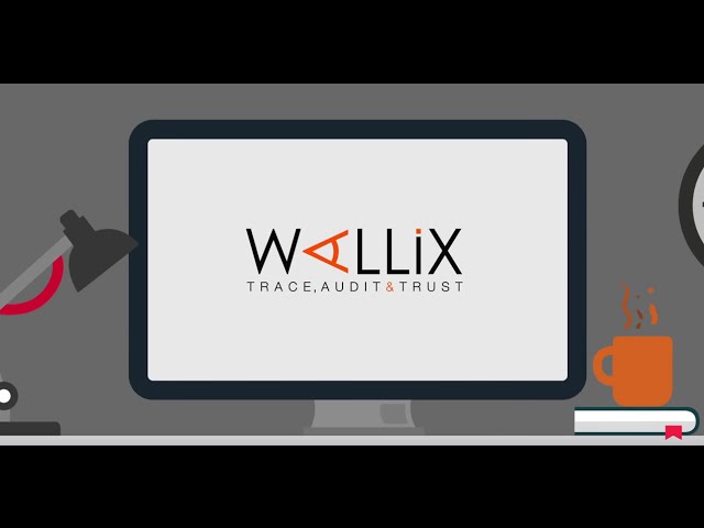 Wallix - IT SOCIAL
